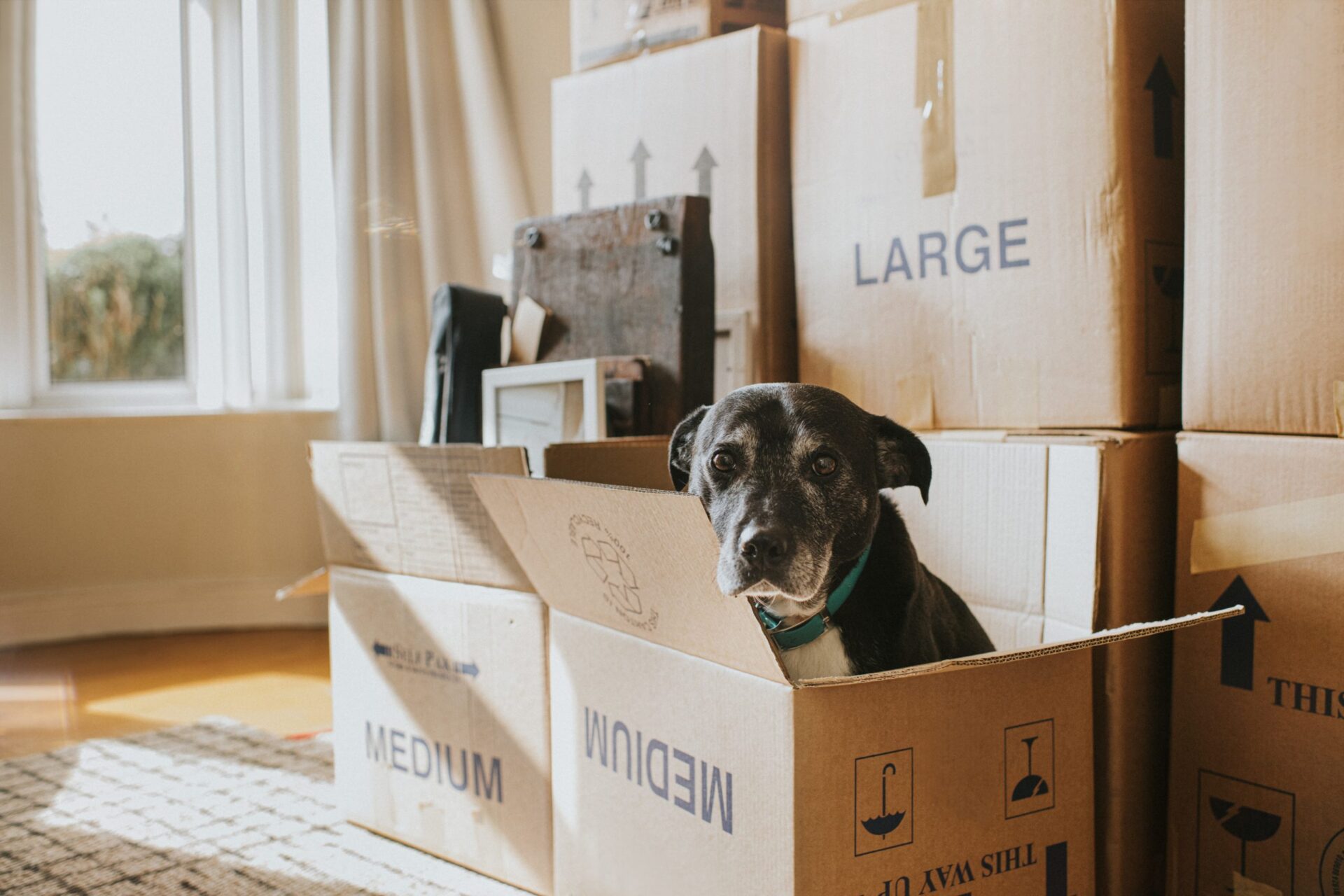 Preparing for an Apartment Move-Out Inspection | Downloadable Checklist